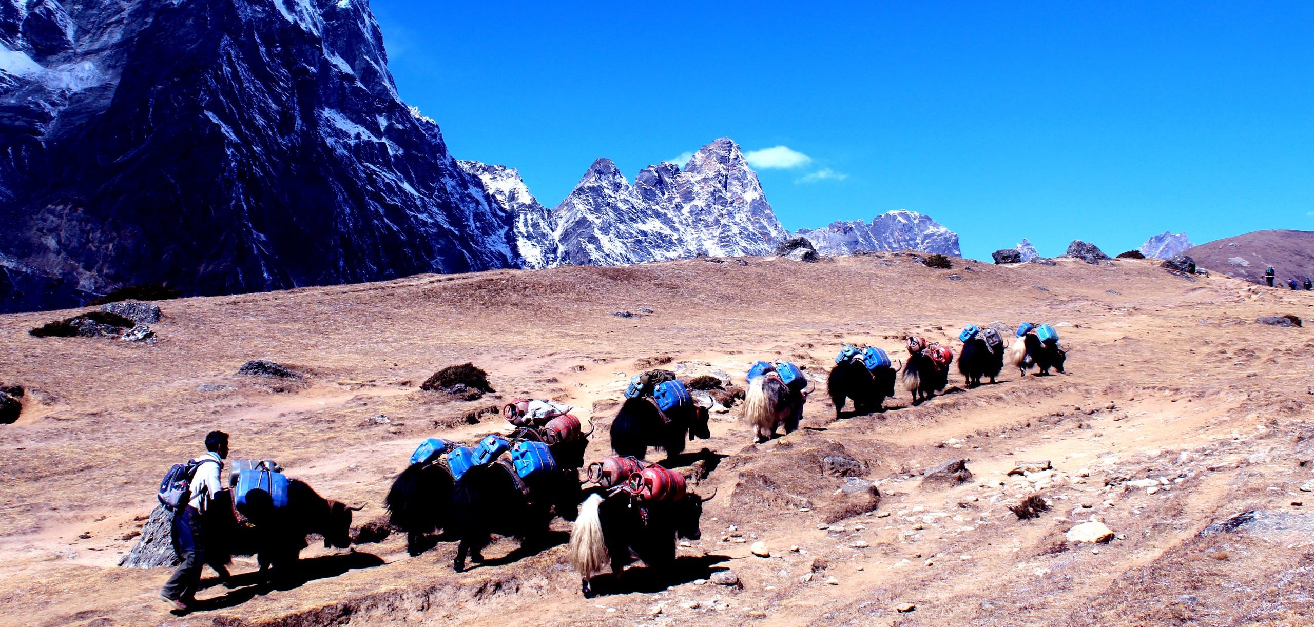 We Offer Destination Nepal Trip - Himalayan Randonner